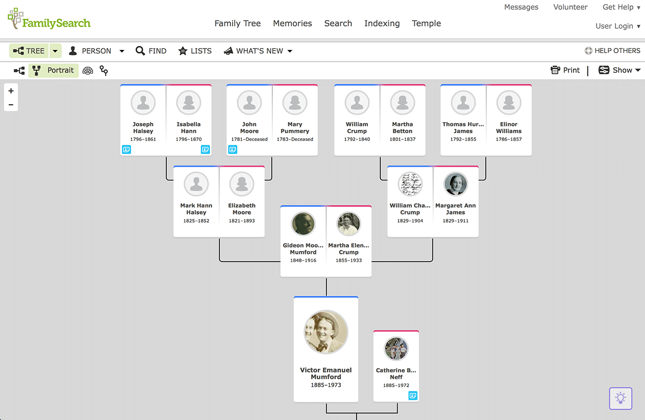 How Can I Find My Family Tree Without Paying UK 