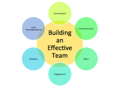 What are the 5 roles of an effective team?