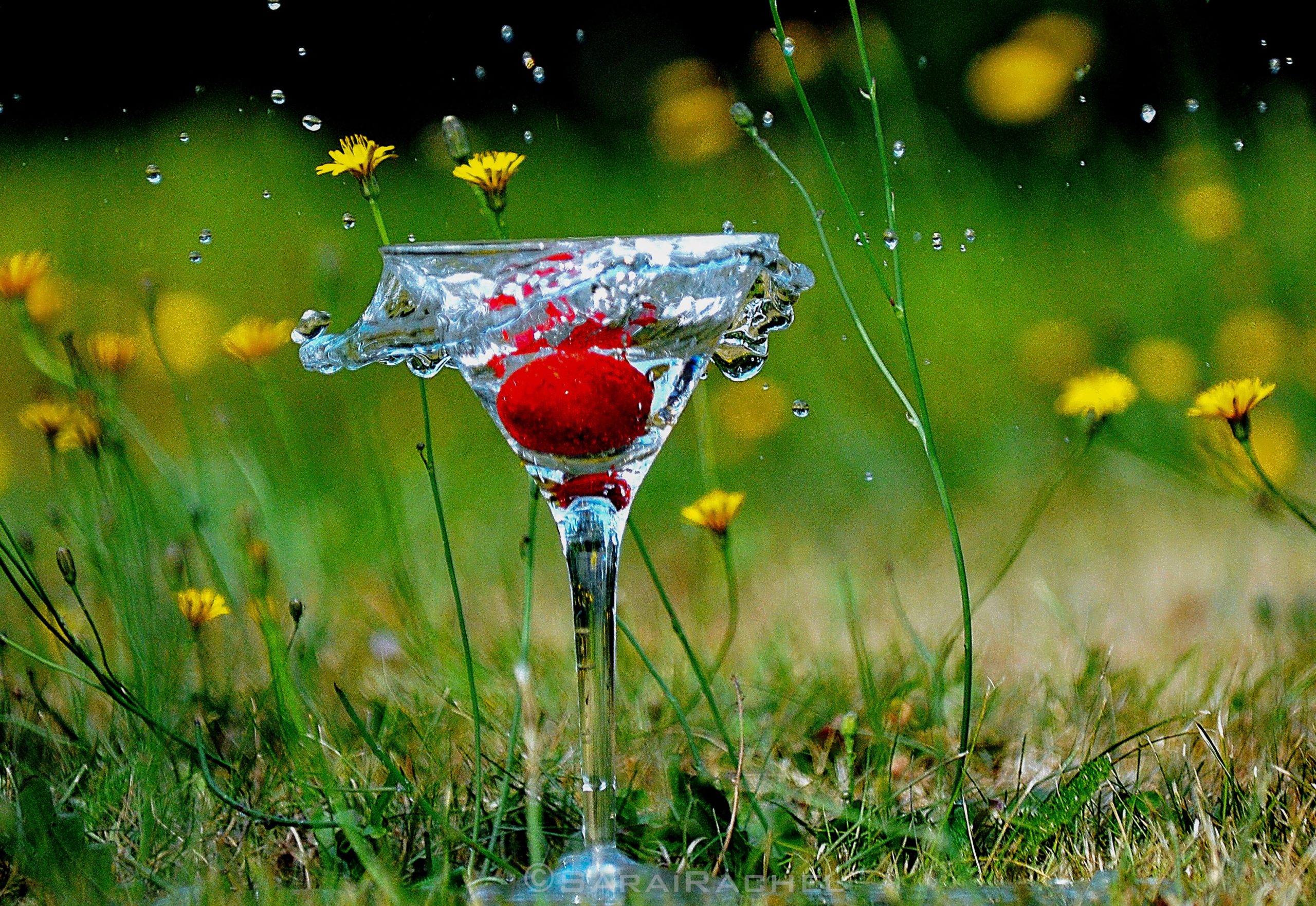 What is fast shutter speed?